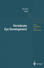 Vertebrate Eye Development | Springer Nature Link (formerly SpringerLink)