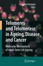 Telomeres and Telomerase in Aging, Disease, and Cancer: Molecular ...