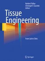 Tissue Engineering: From Lab to Clinic | SpringerLink