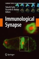 Immunological Synapse | SpringerLink