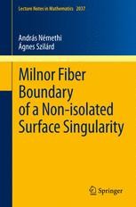 Milnor Fiber Boundary of a Non-isolated Surface Singularity | Springer ...