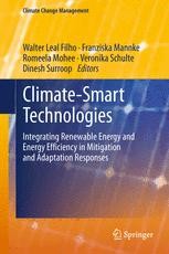 Climate-Smart Technologies: Integrating Renewable Energy and Energy ...