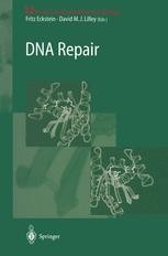 DNA Repair | Springer Nature Link