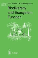 Biodiversity and Ecosystem Function | SpringerLink