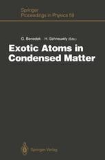 Exotic Atoms in Condensed Matter: Proceedings of the Erice Workshop at ...