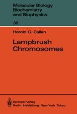 Lampbrush Chromosomes | SpringerLink