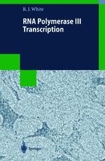 RNA Polymerase III Transcription | SpringerLink