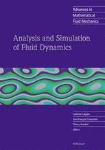 Analysis and Simulation of Fluid Dynamics | SpringerLink