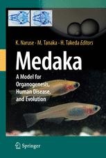 Medaka: A Model for Organogenesis, Human Disease, and Evolution ...