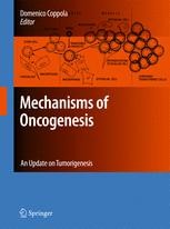 Mechanisms of Oncogenesis: An update on Tumorigenesis | SpringerLink