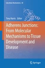 Adherens Junctions: from Molecular Mechanisms to Tissue Development and ...