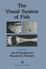 The Visual System of Fish | SpringerLink