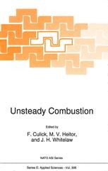Unsteady Combustion | SpringerLink