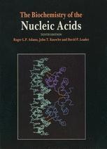 The Biochemistry of the Nucleic Acids | Springer Nature Link (formerly ...