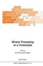 Mineral Processing at a Crossroads: Problems and Prospects | SpringerLink