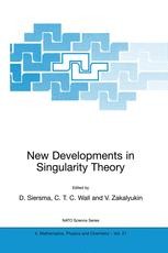 New Developments in Singularity Theory | SpringerLink