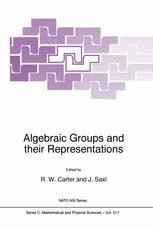 Algebraic Groups and their Representations | SpringerLink