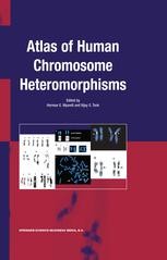 Atlas of Human Chromosome Heteromorphisms | SpringerLink