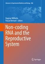 Non-coding RNA and the Reproductive System | SpringerLink