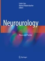 Neurourology: Theory and Practice | SpringerLink