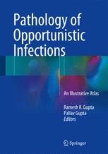 Pathology of Opportunistic Infections: An Illustrative Atlas | Springer ...