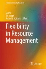 Flexibility in Resource Management | SpringerLink