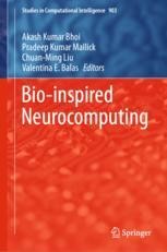 Bio-inspired Neurocomputing | SpringerLink