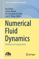 Numerical Fluid Dynamics: Methods and Computations | SpringerLink