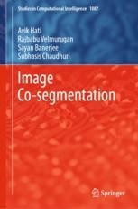 Image Co-segmentation | SpringerLink