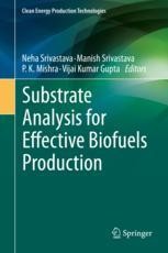 Substrate Analysis for Effective Biofuels Production | SpringerLink