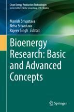 Bioenergy Research: Basic and Advanced Concepts | SpringerLink