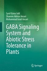 GABA Synthesis, Signaling, and Transportation | Springer Nature Link