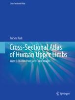 Cross-Sectional Atlas of Human Upper Limbs: With 0.06-mm Pixel Size ...