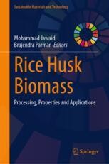 Rice Husk Biomass: Processing, Properties and Applications | SpringerLink