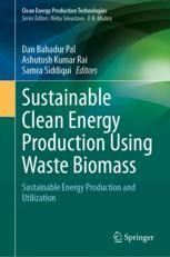 Sustainable Clean Energy Production Using Waste Biomass: Sustainable ...