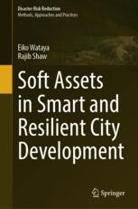 Soft Assets in Smart and Resilient City Development | SpringerLink