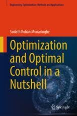Optimization and Optimal Control in a Nutshell | SpringerLink