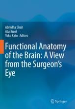 Functional Anatomy of the Brain: A View from the Surgeon’s Eye | SpringerLink