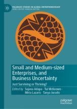 Small and Medium-sized Enterprises, and Business Uncertainty: Just ...