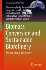 Biomass Conversion and Sustainable Biorefinery: Towards Circular Bioeconomy | SpringerLink