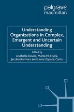 Understanding Organizations in Complex, Emergent and Uncertain Environments | SpringerLink