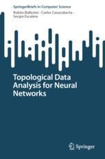 Topological Data Analysis for Neural Networks | SpringerLink