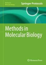 Patient-Derived Cancer Organoids: Standardized Protocols for Tumor Cell ...
