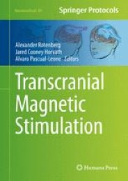 Single-Pulse Transcranial Magnetic Stimulation (TMS) Protocols and ...