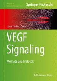 VEGF Splicing and the Role of VEGF Splice Variants: From Physiological ...