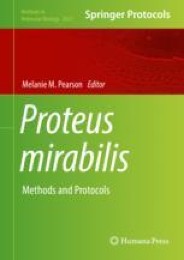 Isolation and Purification of Proteus mirabilis Bacteriophage ...