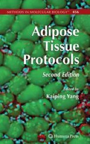 Explant Cultures of White Adipose Tissue | SpringerLink