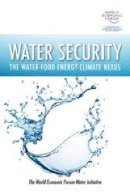 Water Security | SpringerLink