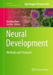 Neural Development | SpringerLink