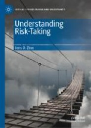 Reasonable Risk-Taking in Everyday Life | SpringerLink